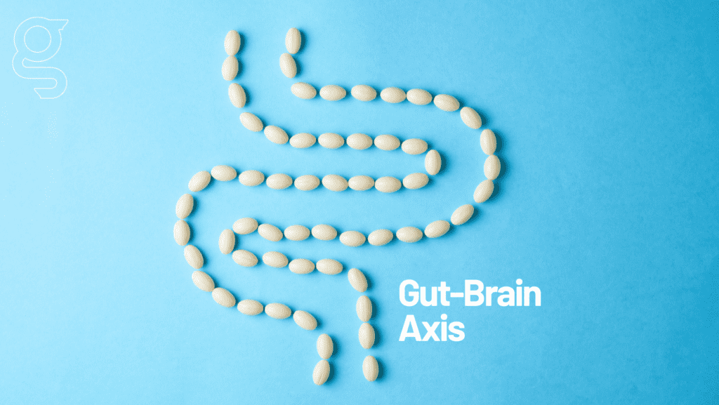 Understanding The Gut Brain Connection Exploring The Impact Of